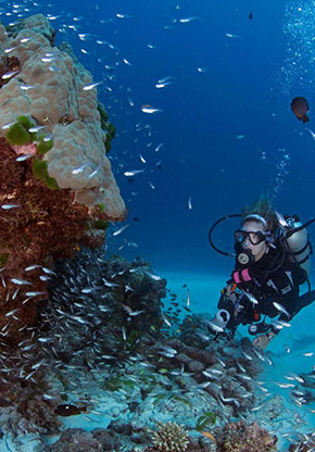Bula! Welcome to Kadavu Island, Fiji | The Official Travel Site of the ...