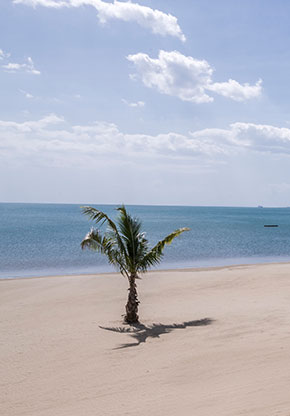 Bula! Welcome to Nadi, Fiji| The Official Travel Site of the Fiji Islands