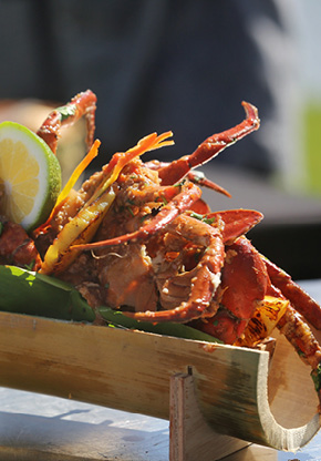 Bula! Welcome to Nadi, Fiji| The Official Travel Site of the Fiji Islands