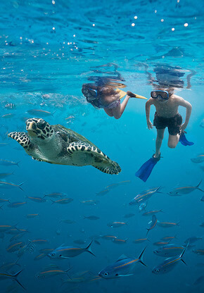 Bula! Experience Snorkelling in Fiji | The Official Travel Site of the ...
