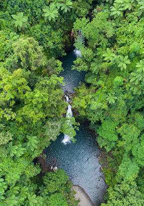 Bula! Welcome to Taveuni Island, Fiji | The Official Travel Site of the ...