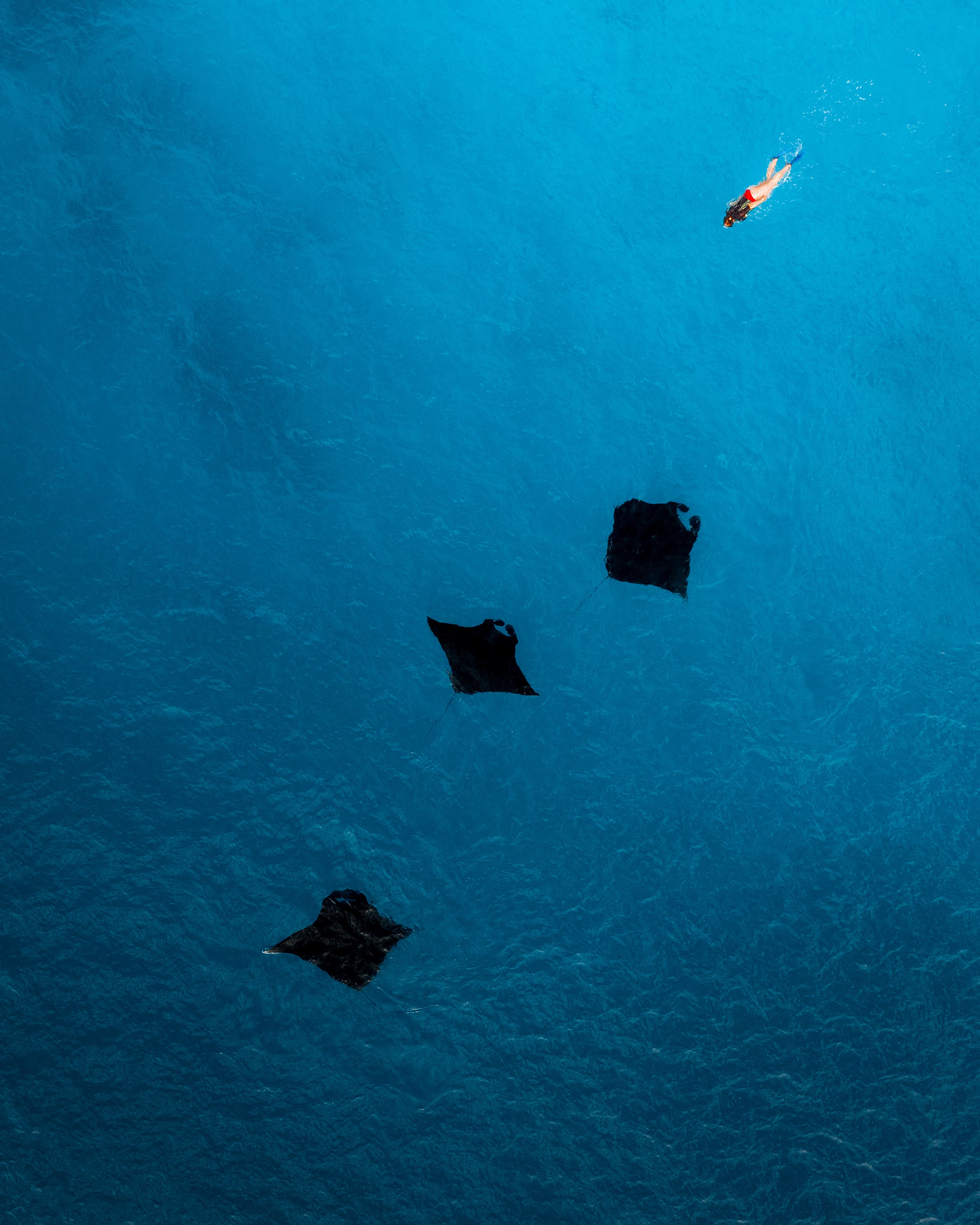 Bula! Welcome to the Yasawa Islands, Fiji | The Official Travel Site of ...