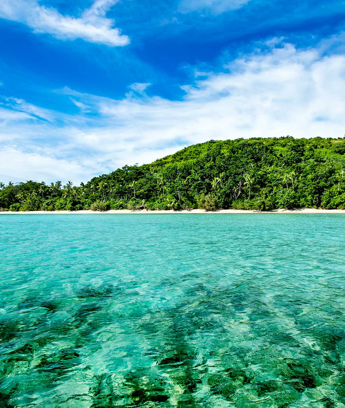 Bula! Welcome to the Suncoast, Fiji | The Official Travel Site of the ...