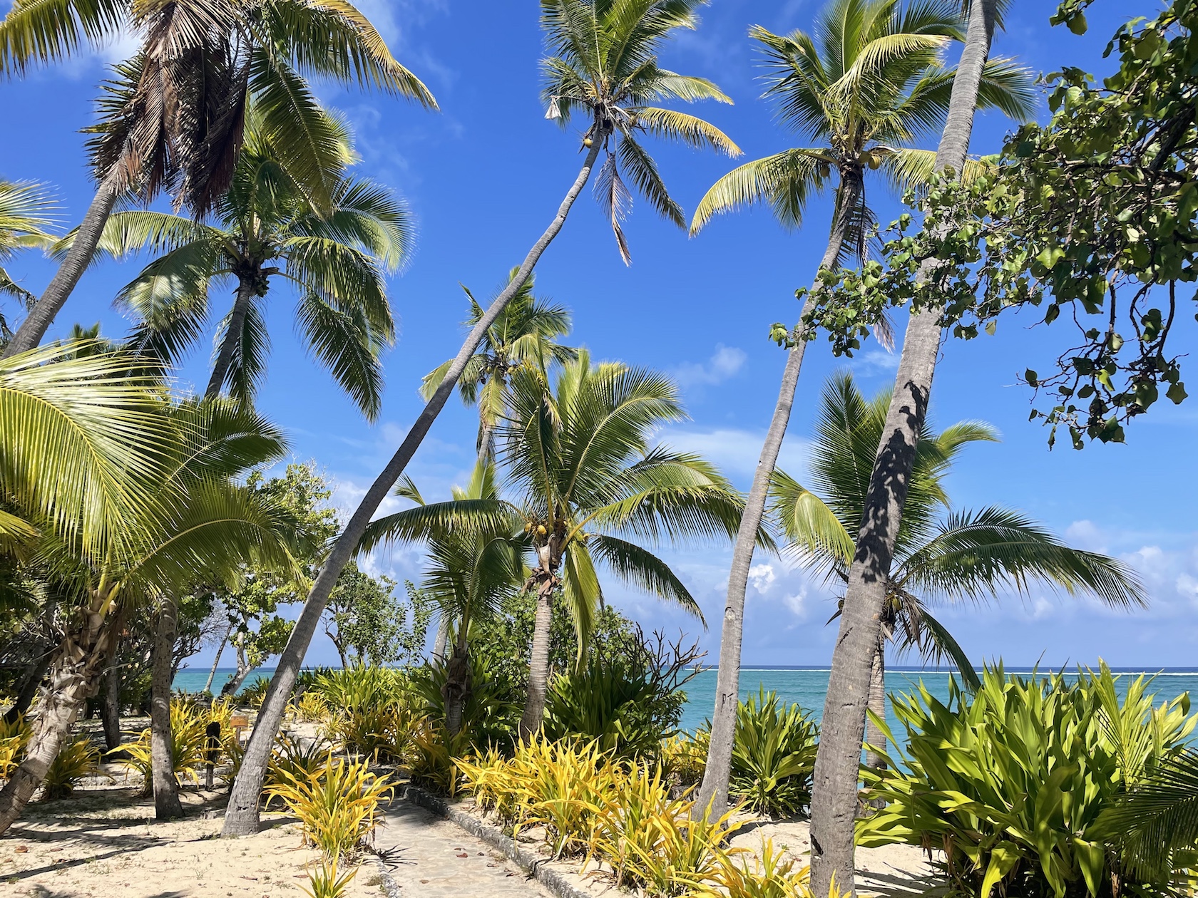 Bula！フィジーへようこそ|フィジー政府観光局の公式ウェブサイト