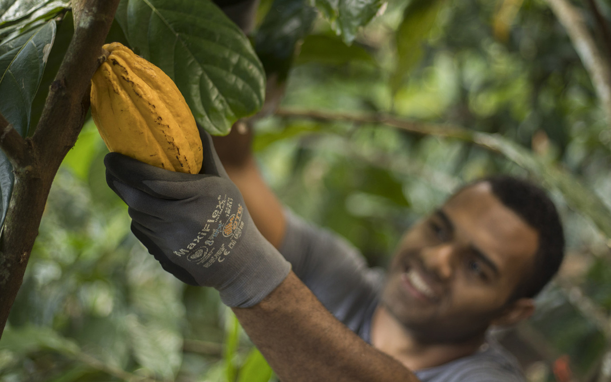 Bula！フィジーへようこそ|フィジー政府観光局の公式ウェブサイト