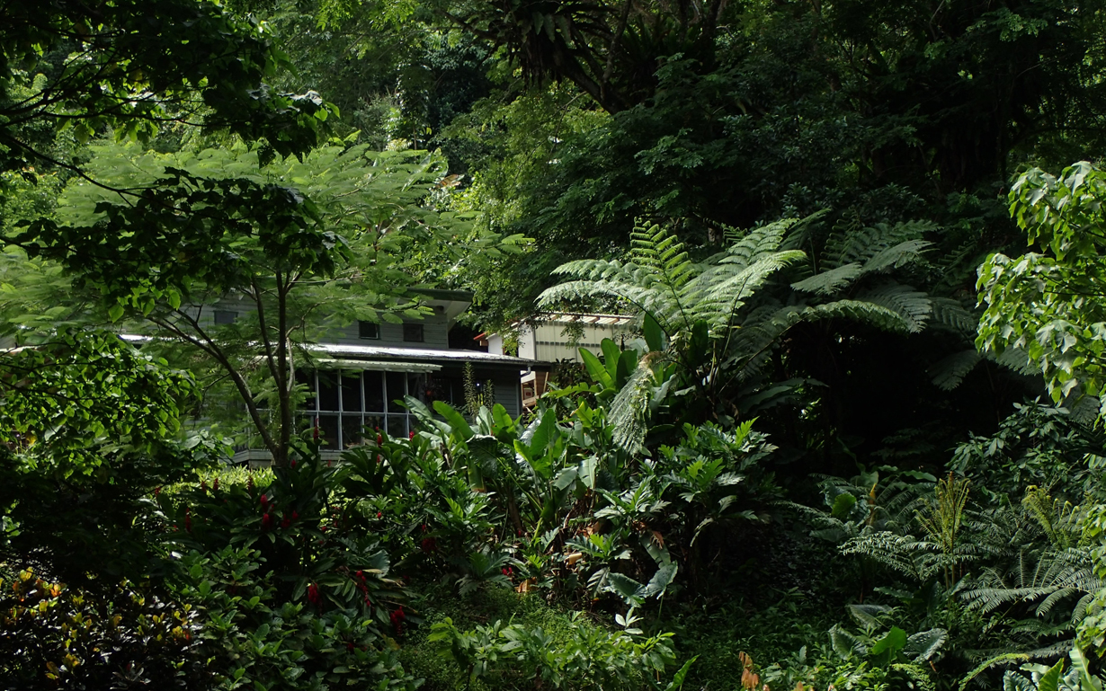 Bula！フィジーへようこそ|フィジー政府観光局の公式ウェブサイト